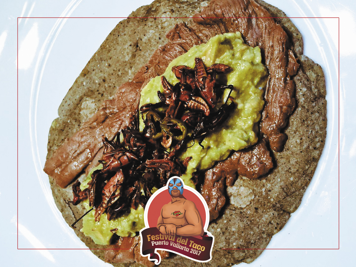 formato-foto-festival-del-taco64 - Taco Fest Puerto Vallarta